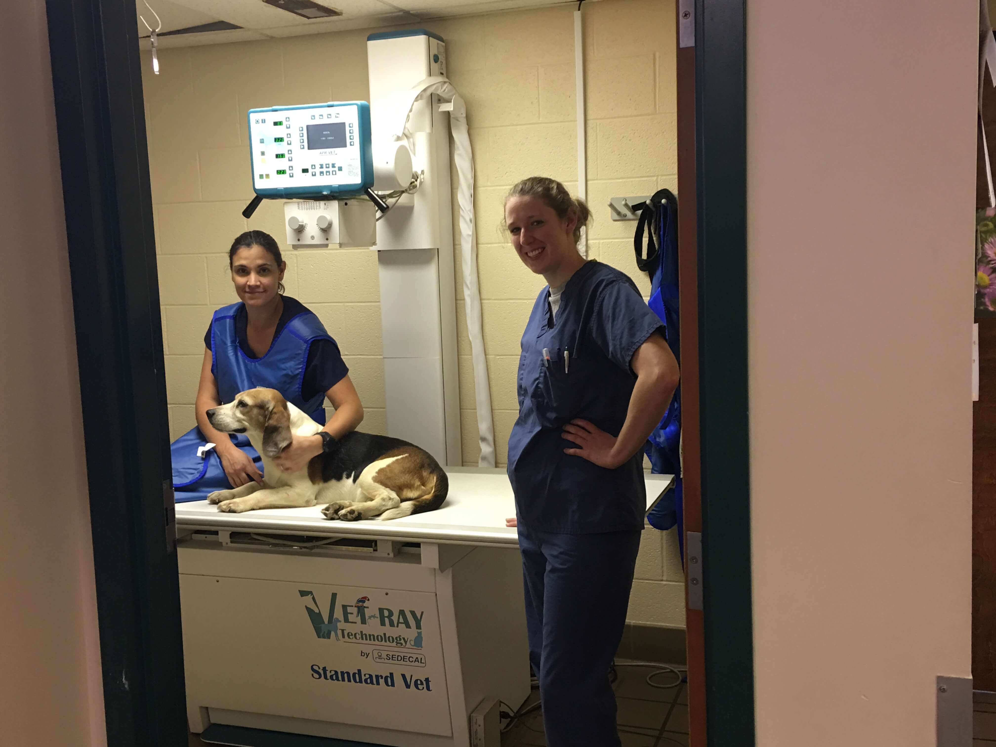 Facilities Articles and Information